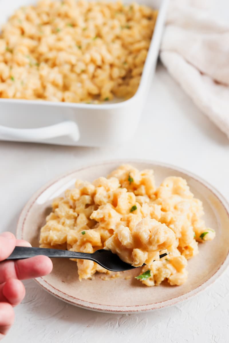 Creamy Baked Mac and Cheese with Cavatappi - The Buttered Gnocchi
